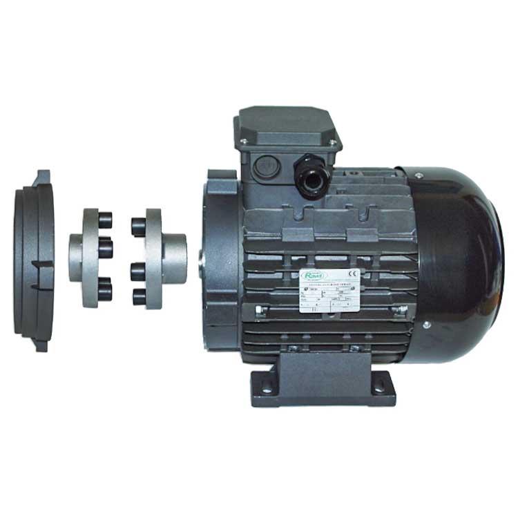 Ravel Electric motor 5.5 - 11 KW 24mm hollow shaft and integrated ...